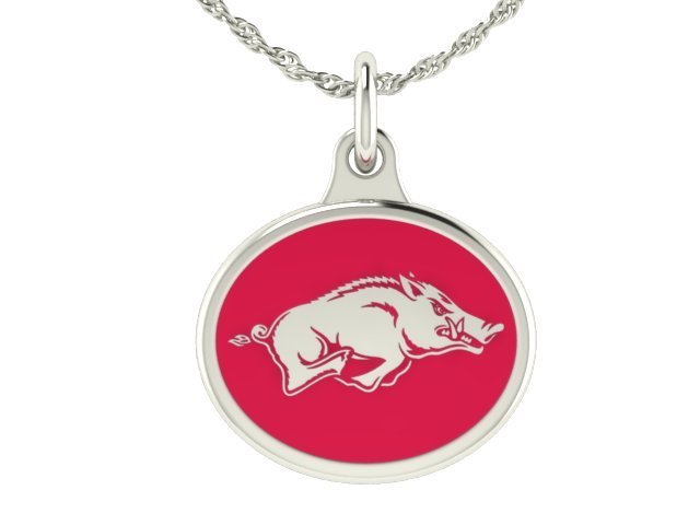 Arkansas Razorbacks Silver Enamel Charm - PG87735